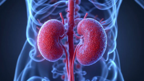 STADA Arzneimittel AG | STADA