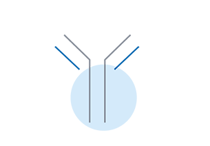 Biosimilars - Produkte | STADA